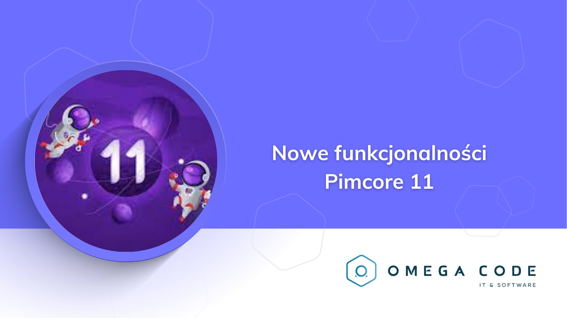 Omega Code | Blog | New features of Pimcore 11
